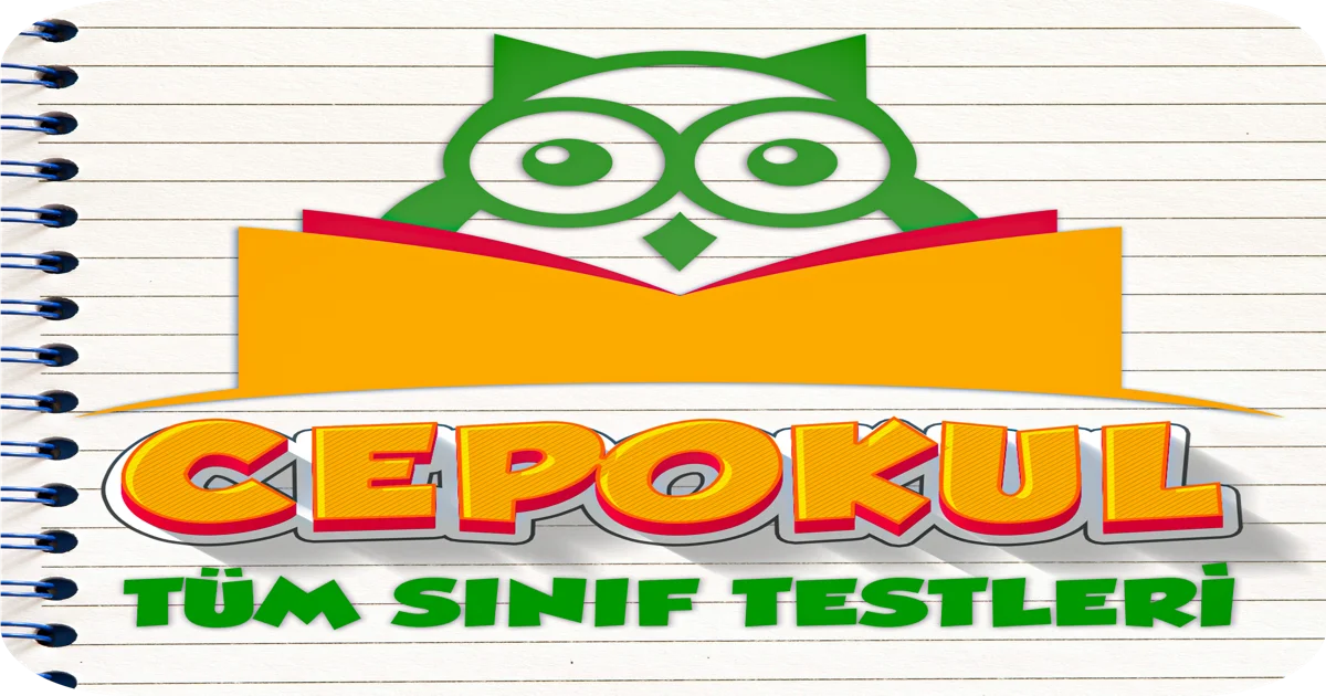 Metinler Arası Karşılaştırma Test Çöz 6. Sınıf Soruları ve Cevapları